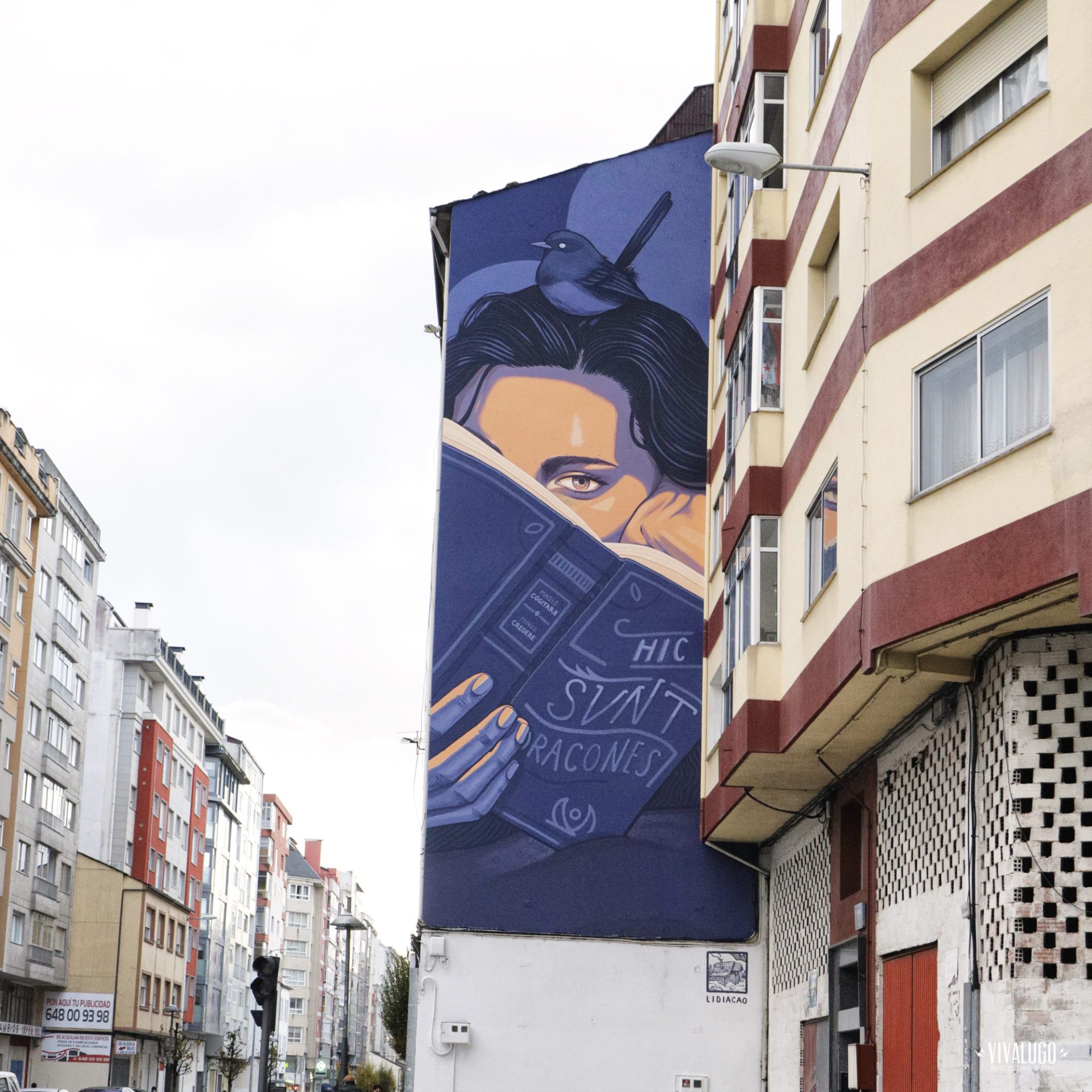 Espectacular mural de Lidia Cao en Lugo - Viva Lugo
