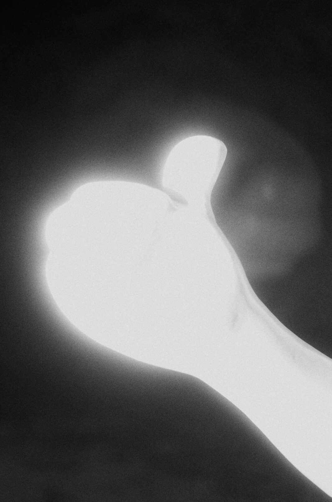 Lois Cid, Sabela Eiriz e as múltiples miradas sobre o San Froilán 2023 - VivaLugo